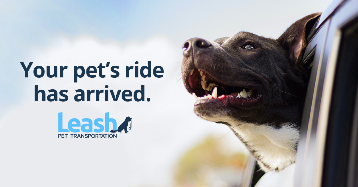 Leash Pet Transportation